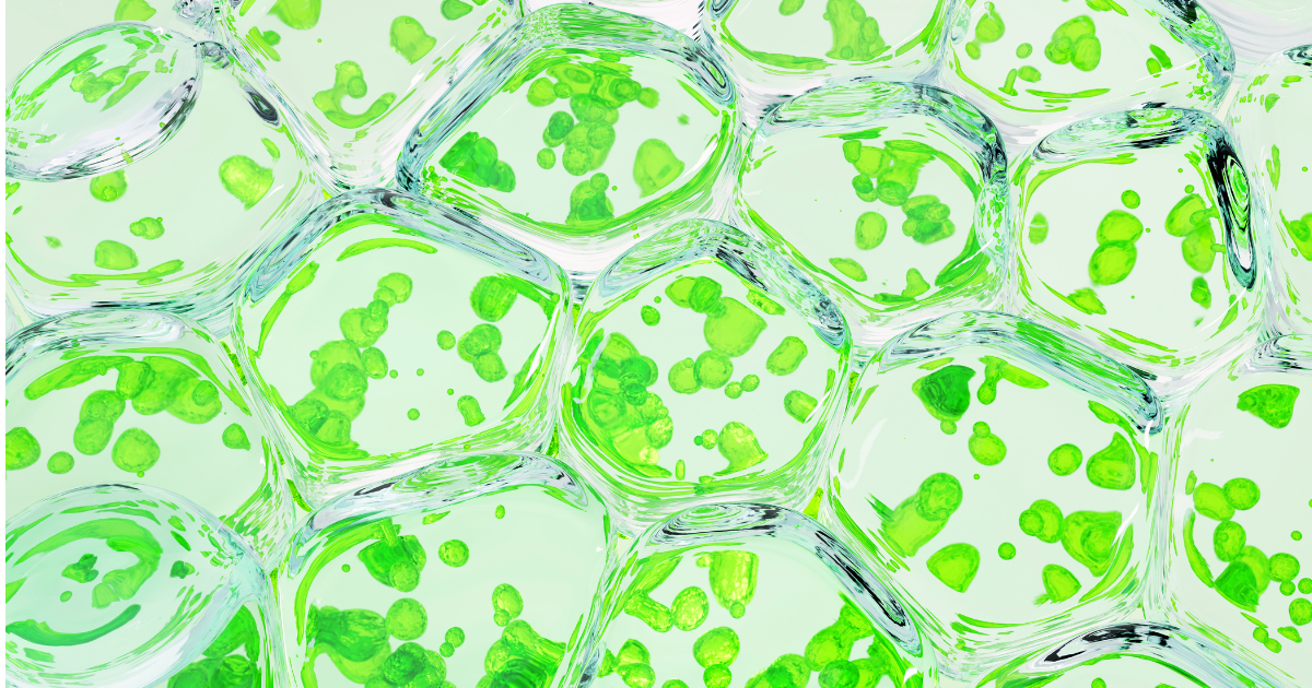 Uso de Nanodrop One para cuantificación de clorofilas - CONTROLTECNICA